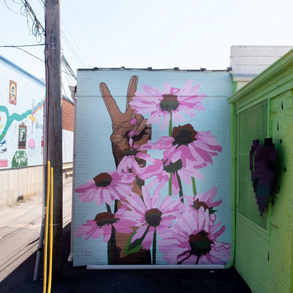 The Walls Off Washington - STL Arts